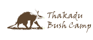 Thakadu Bush Camp - Experience the Untamed Beauty of the African Bush