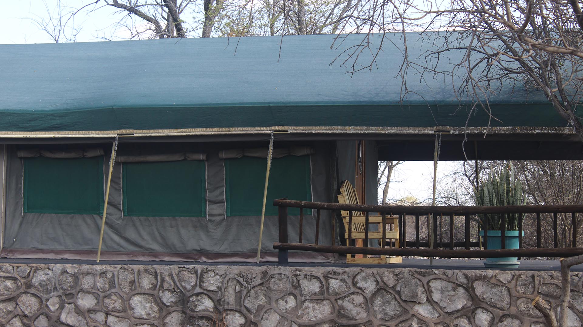 Thakadu Bush Camp - Experience the Untamed Beauty of the African Bush